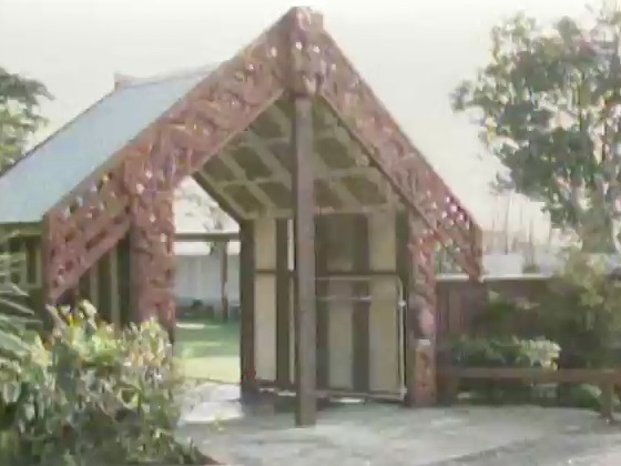 The Beginner's Guide to Visiting the Marae | Television | NZ On Screen